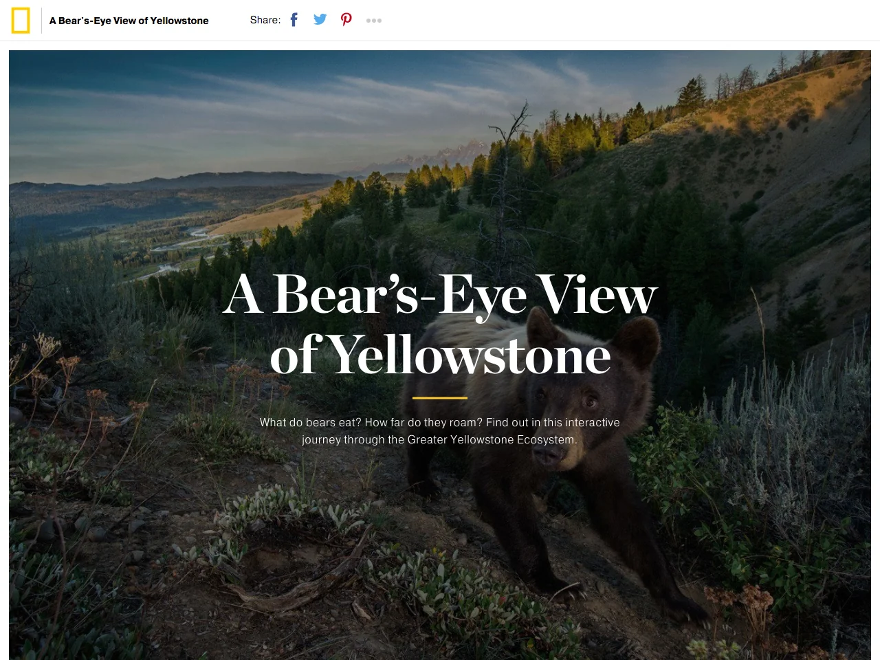 A Bear's-Eye View of Yellowstone « ハイクオリティなWebサイトを探すなら Webデザインギャラリー ...
